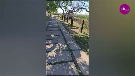 Las últimas Noticias De San Pedro La Opinión Semanario