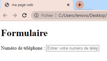 Ajouter Des Inputs Basiques Dans Un Formulaires HTML TutoForYou