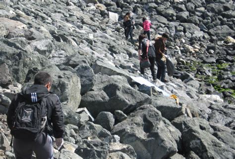 Акция Сливи за смет в Царево послучай Деня на Земята