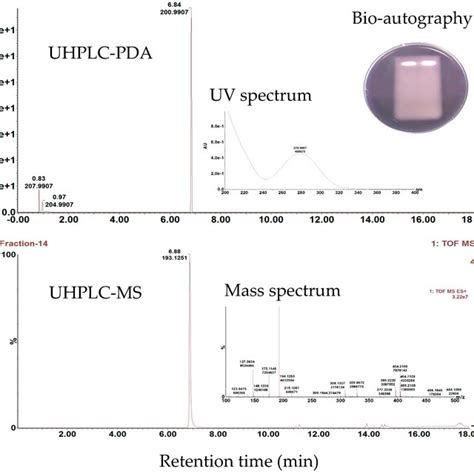 Ultra Performance Liquid Chromatography UHPLC Photodiode Array PDA Download Scientific