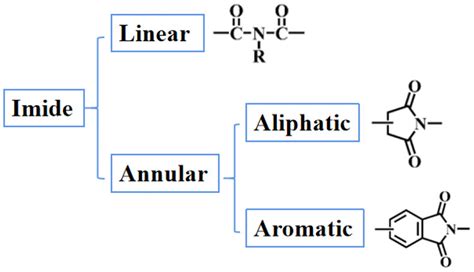 Different Types Of Imide Groups Download Scientific Diagram