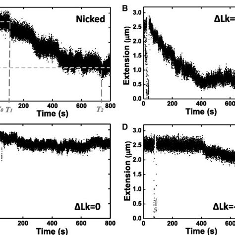 Sample Traces For Dna Compaction Observed In Various Topological Download Scientific Diagram