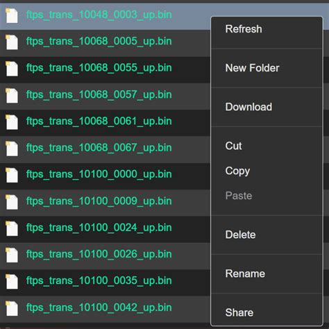 Cerberus Ftp Server 12 5 Introduces “zip And Download” For Multiple Files Cerberus Ftp Server
