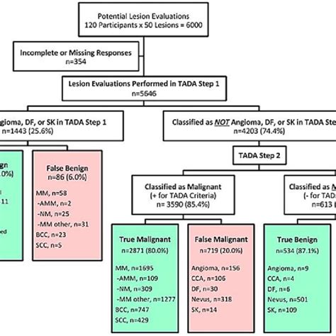 The Triage Amalgamated Dermoscopic Algorithm Tada Illustrated Diagram Download Scientific