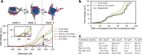 Validation Of Chemically Specific Coarse Grained Model Against Force Download Scientific