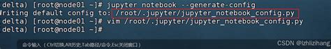 如何在虚拟机中安装python 和 Jupyter，并且启动运行delta Lake，以及解决一下启动过程中出现的错误（保姆级教程）怎么在虚拟机上开启jupyter服务器 Csdn博客