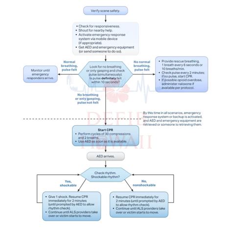Bls Algorithm 2020 2025 Aha Guidelines And Flowcharts