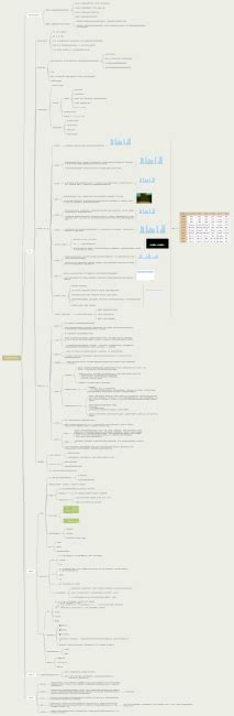 算法模板 算法思维导图 算法流程图 Processon思维导图流程图