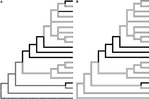 Reconstruction Of Ancestral States Mapped Onto Bayesian Consensus Tree