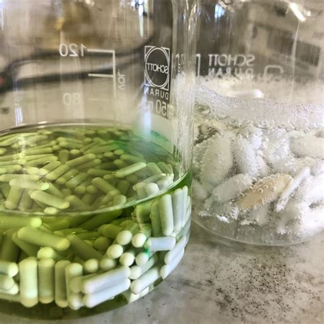 Happy Max Planck Institute For Solid State Research