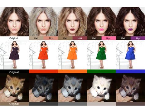 results examples of our framework on three different types of datasets