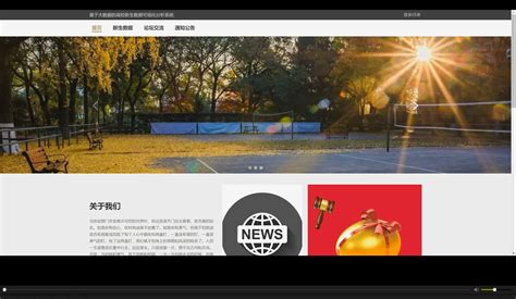 高校新生数据可视化分析系统信息管理系统源码 Django后端vue前端mysql【可直接运行】 Csdn博客