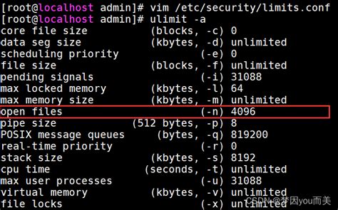 linux修改文件句柄数 linux修改句柄数 csdn博客