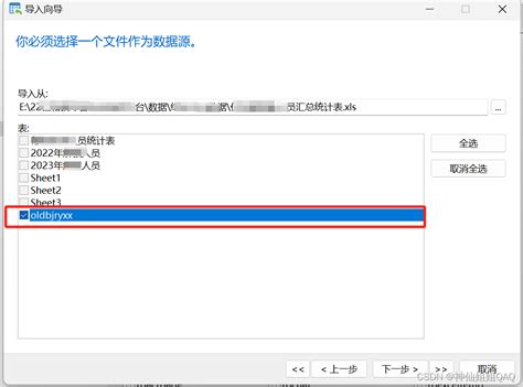 将excel表中的数据导入到navicat中navicat把excel数据粘贴进去 Csdn博客