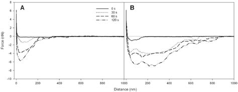 Afm Force Distance Curves From Different Bacterial Pairs A Download Scientific Diagram