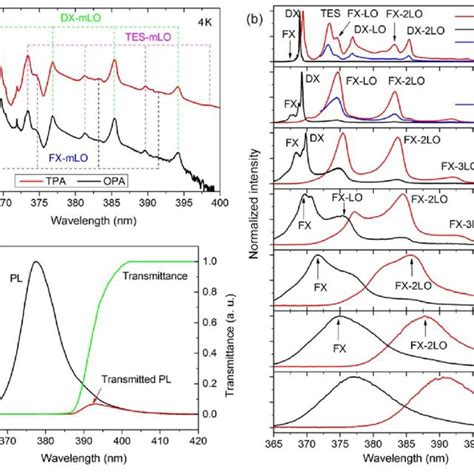 Pdf Extinction Of The Zero Phonon Line And The First Order Phonon