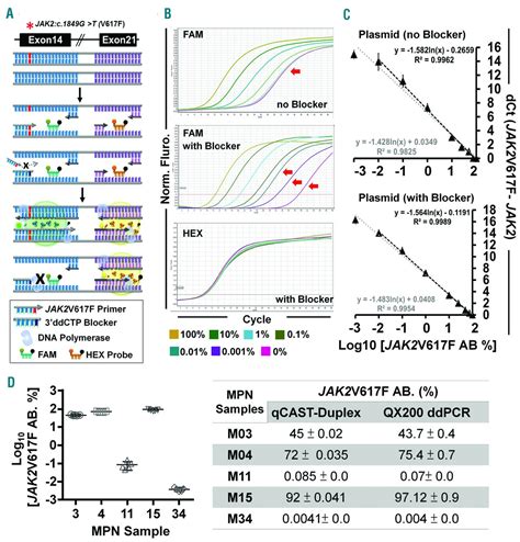 Quantitative competitive allele-specific TaqMan duplex PCR (qCAST ...