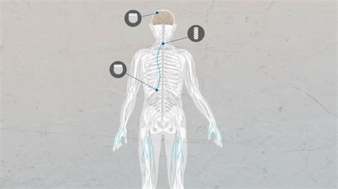 اكتشاف صور اعتداء جنسي على أطفال ببيانات تدريبية على الذكاء الاصطناعي