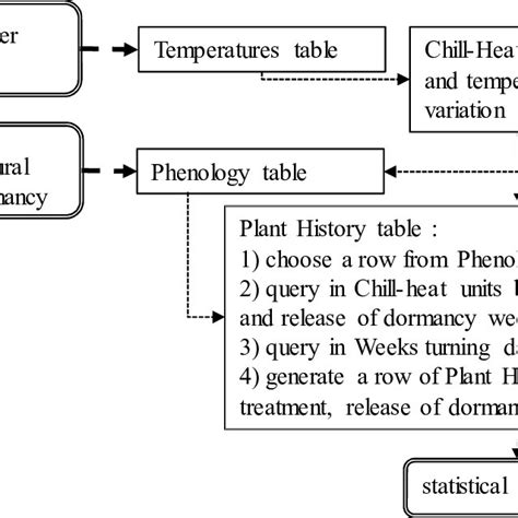 The Flow Chart Of The Database Download Scientific Diagram