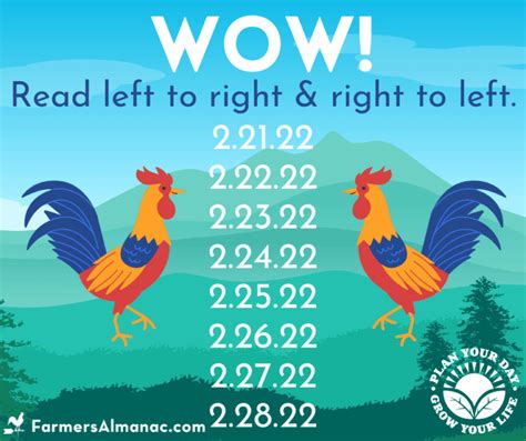 2022 Palindrome Dates Farmers Almanac Plan Your Day Grow Your Life