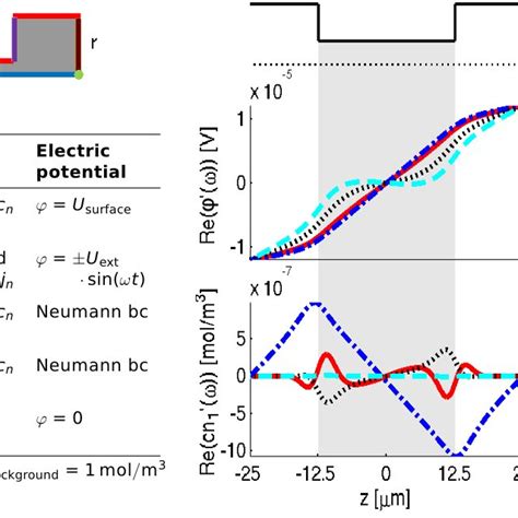 Left Exemplary Pore Based Model Domain With Boundary Conditions Bc
