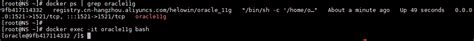 Docker安装oracle11g安装简单 Csdn博客