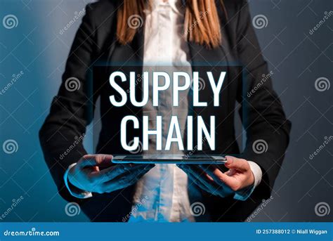 Conceptual Caption Supply Chain Business Showcase System Of Organization And Processes From