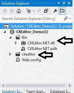Asp Net Apresentando E Usando O Ckeditor