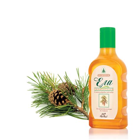 ШАМПОАН с Боров Катран Козметична компания Роза импекс