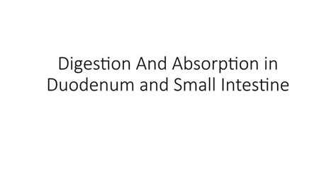Digestion And Absorption In Duodenum And Small Intestine Ppt
