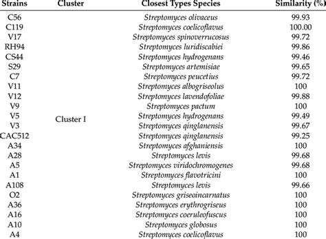 Molecular Identification Of Actinomycete Isolates Download Scientific Diagram