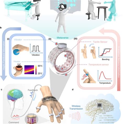 Pdf Augmented Tactile Perception And Haptic Feedback Rings As Human