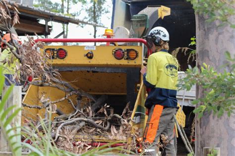 1 Tree Mulching Services For Sunshine Coast Gardens