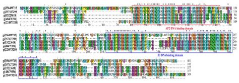 Sequence Alignment And Characterization Analyses Of Ap2 Genes The Ap2