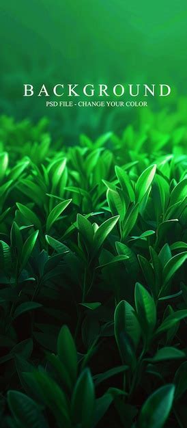 Background Green High Saturation Gradient Color Artistic Conception Premium Ai Generated Psd