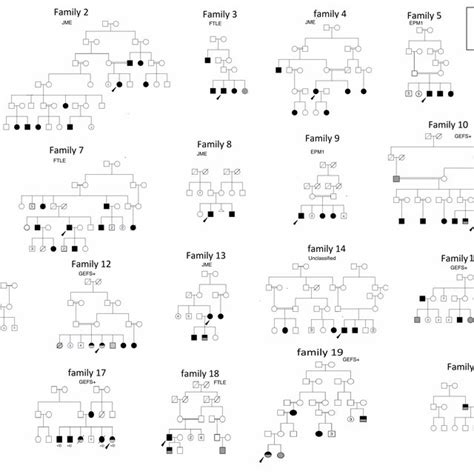 Principe De La Technique Cgh Array 173 Download Scientific Diagram