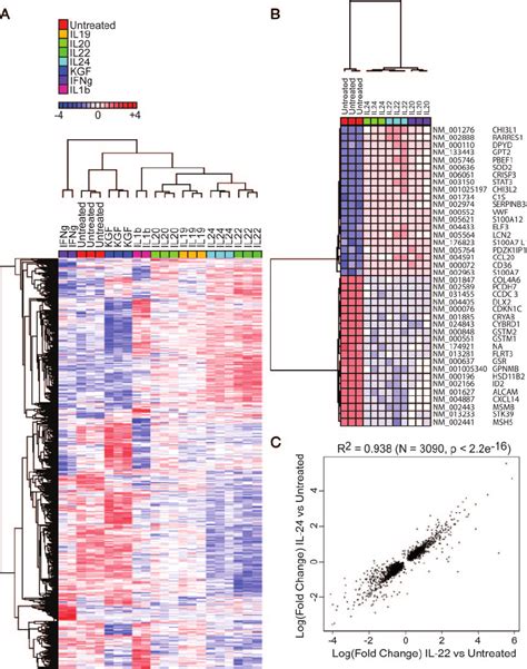 Microarray Gene Expression Analysis Of 4 Day Cultured Rhe Treated With Download Scientific
