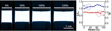 Unist 피부처럼 늘어나는 고해상도 디스플레이 개발 E4ds News