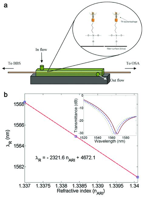 Schematic Illustration Of The Experimental Arrangement A Covalent