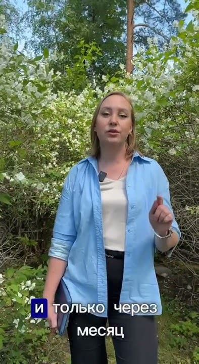 Оборот земель сельхозназначения Youtube