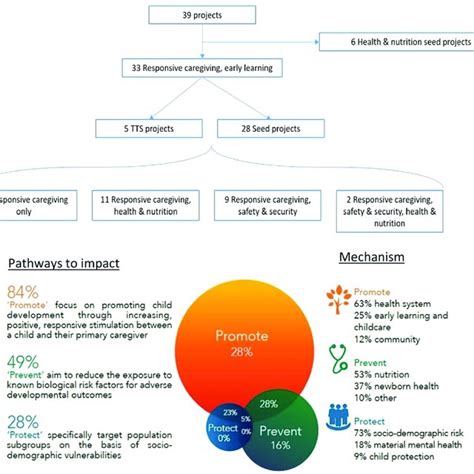 Definitions Of Domains In The Nurturing Care Framework And