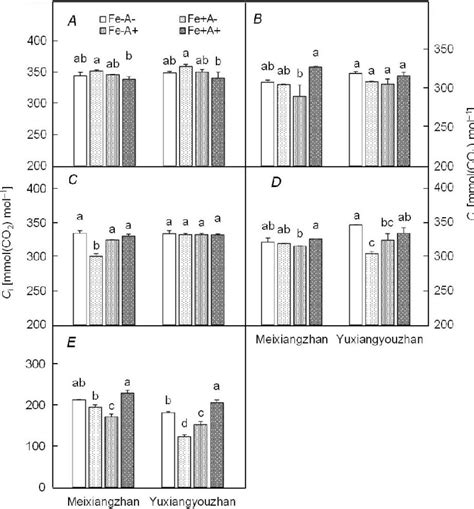 Effect Of Fe And α Ketoglutaric Acid On Intercellular Co2 Concentration