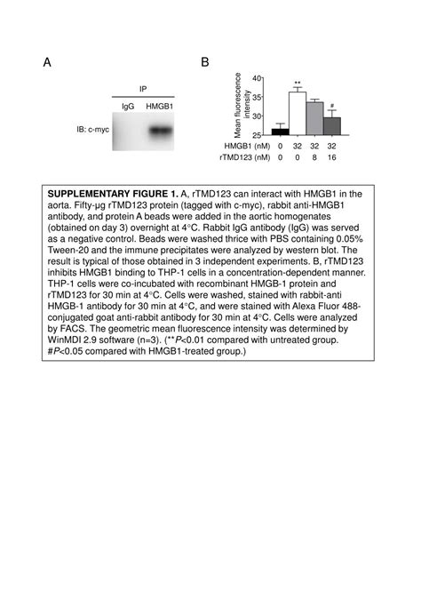 PPT IgG PowerPoint Presentation Free Download ID