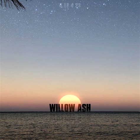 Willow Ash 4 18 4 23 Encyclopaedia Metallum The Metal Archives