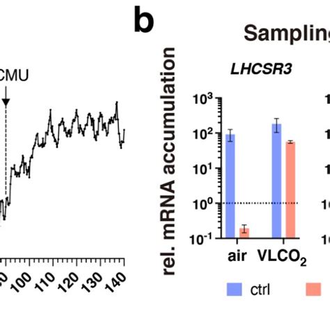 Photosynthetic Electron Transfer Draws Down The Intracellular Co2