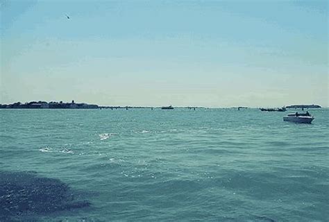 Океан дримс модель gif