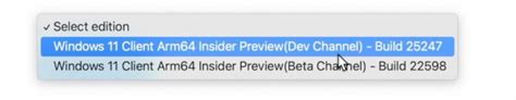 Install Windows On M M Mac With VMWare KSKRoyal