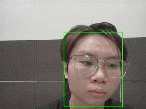 Facial Reconigition Classification Dataset V1 2024 04 25 911am By