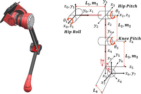 Joint Structure And Coordinate Frames Of 3 Dof Robot Leg Download