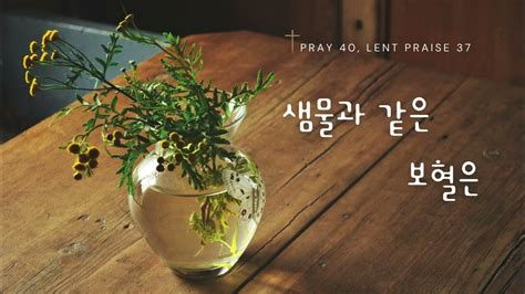묵상 찬양 사순절 37 샘물과 같은 보혈은 L Lent L Praise L Piano L Worship L 찬양 L 묵상 L